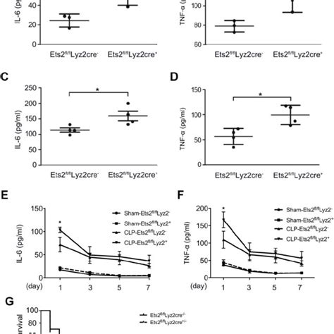Ets2 Inhibits Lps Induced Il 6 And Tnf α Production And Improves The Download Scientific