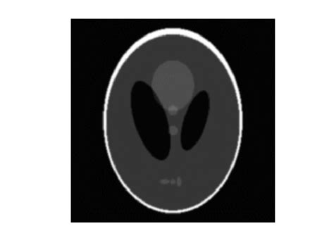 Function Reference Rhofilter