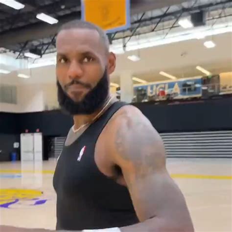 Lebron Loves Multiversus Rmultiversus