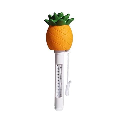 Thermomètre De La Piscine Thermomètre De Piscine À Ananas Anti brisage