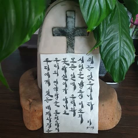 대제사장 우리의 연약함 동정 시험을 받으신 이 죄는 없으심 Shorts ☆아름다운새계명교회 24 05 20 Youtube