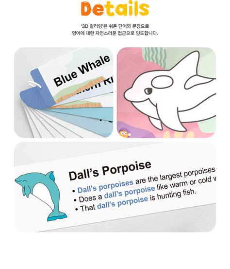 고래 센시 3d 컬러링북