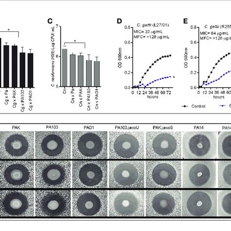Inhibition Of Cryptococcus Spp Growth By P Aeruginosa A C Download Scientific Diagram