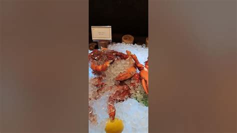 랍스타 집게발 와 엄청나네~ Youtube