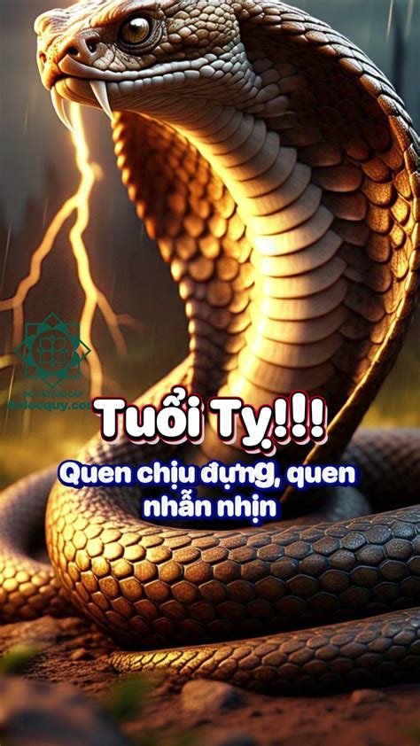 Tuổi Tỵ Quen Chịu đựng Quen Nhẫn Nhịn Đồng Niên Tuổi Tỵ Facebook