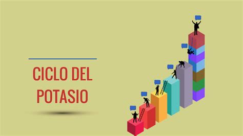 Ciclo Del Potasio By Samuel Santiago Lasso Cubillos On Prezi