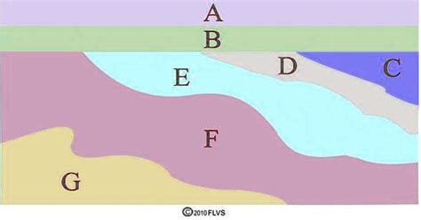 The Diagram Below Shows Different Layers Of Sedimentary Rocks Based On