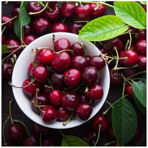 미국달콤한체리600g팩 배민 장보기∙쇼핑