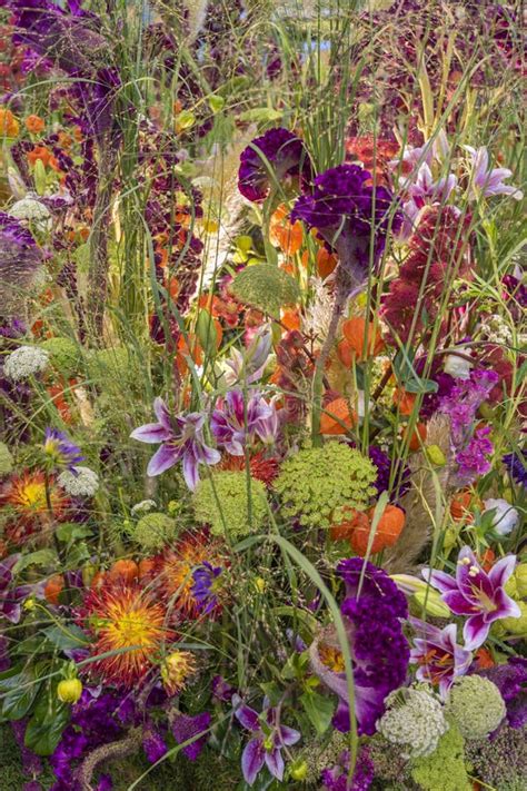 A Flower Meadow With Many Different Types Of Flowers Stock Image