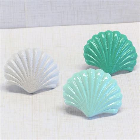 Seashell Knobs Etsy