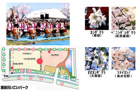 観光ガイドマップ 木曽岬町