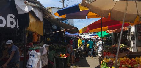 Motorola Em Salvador Os Detalhes Da Feira De São Joaquim Em Macro