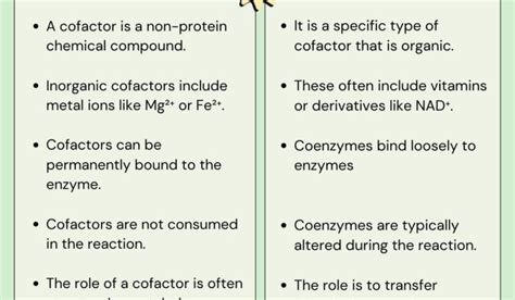 Cofactor Vs Coenzyme Key Differences And Examples Explained