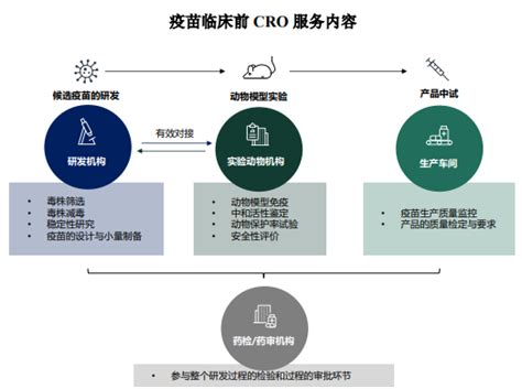 疫苗临床前 CRO 服务内容概览 产业资讯 行业新闻 思瀚产业研究院