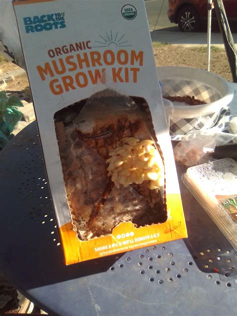 This Isnt Uncle Bens Tech But It Is Mushrooms Please Forgive R Unclebens