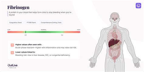 Understanding Your Fibrinogen Test Results