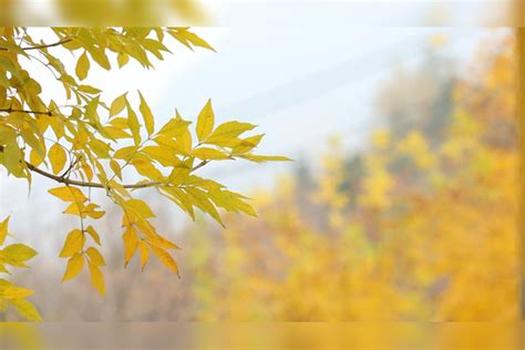 今年北京市评选出18条“最美乡村路” 以点带面推进“四好农村路”高质量发展美乡村评选北京市