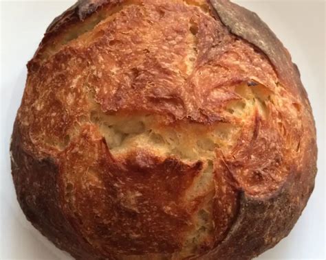 Mini No Knead Boule Bread Recipe Easy Gf Recipes