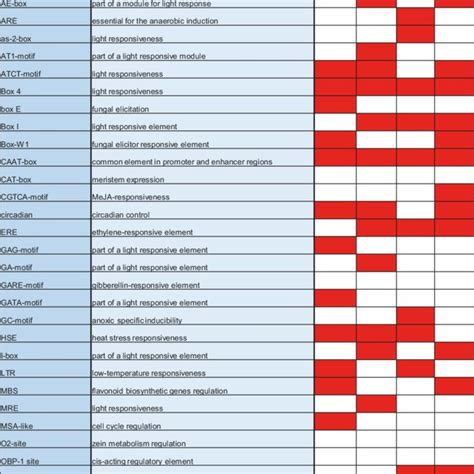 Phylogenetic Tree Of Tocopherol Biosynthesis Genes Of Olive And Model