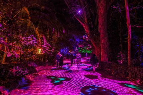 La belleza del jardín botánico de Málaga iluminado por Navidad