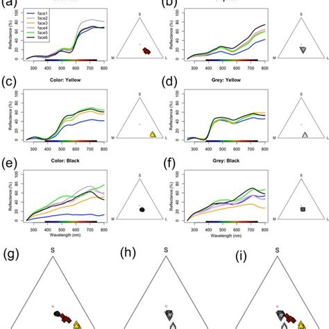 spectral properties of presented stimuli and modeling of photoreceptor