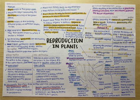 Combined Science Biology Notes Hobbies Toys Books Magazines Assessment Books On Carousell