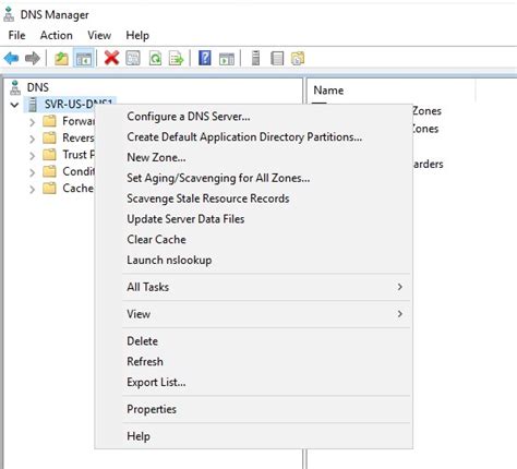 DNS Console Overview Server Academy