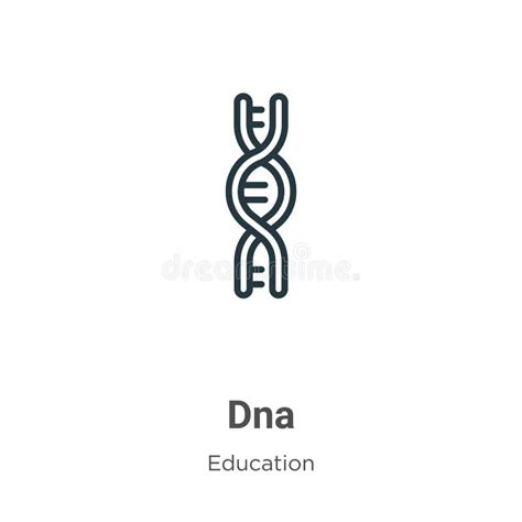 Dna Outline Vector Icon Thin Line Black Dna Icon Flat Vector Simple