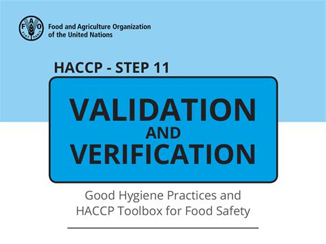 Step 11 Validation And Verification