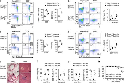 T Cell Specific Deletion Of Senp3 Perturbs T Cell Homeostasis A Flow