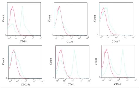 Flow Cytometric Analysis Of Bone Marrow Cells From A Cat With