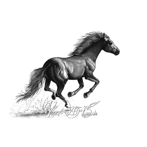 Running Wild Mustang Pencil Drawing By Vlad Art