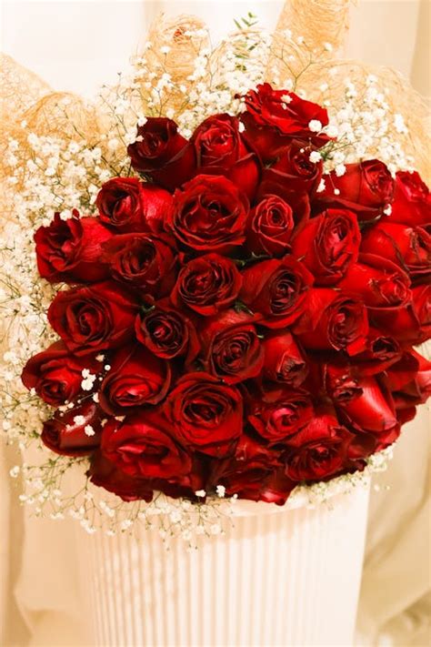 베이비스 브레스가 들어간 우아한 붉은 장미 꽃다발 · 무료 스톡 사진