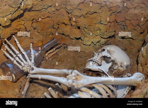 The Skeleton Of A Man Lies In A Pit On The Ground With A Bottle In His