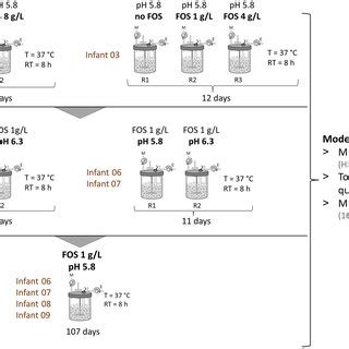PDF Long Term Continuous Cultivation Of Kenyan Infant Fecal