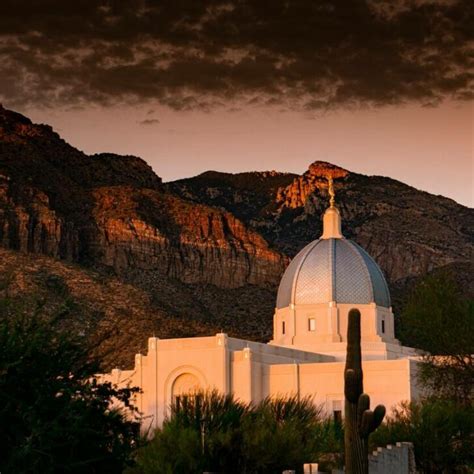 Tbm Vs Bic Mormon Diferencia Explicada Todas Las Diferencias Ieb Barceloneta