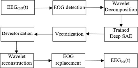 automated artifact correcting with dwsae download scientific diagram
