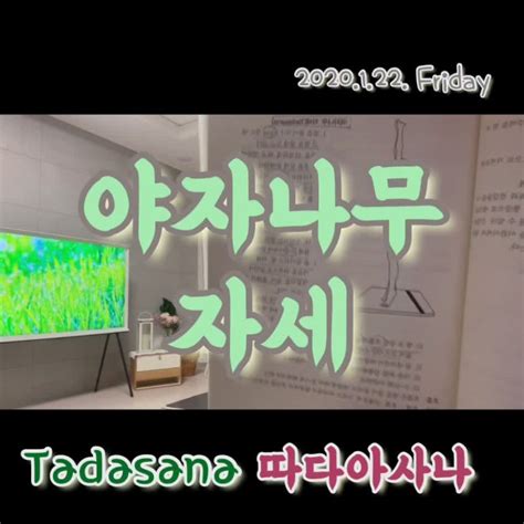 요가책필사 아침 요가 운동 따다아사나 야자나무자세 네이버 블로그
