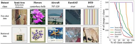 Few Shot Recognition Via Stage Wise Retrieval Augmented Finetuning