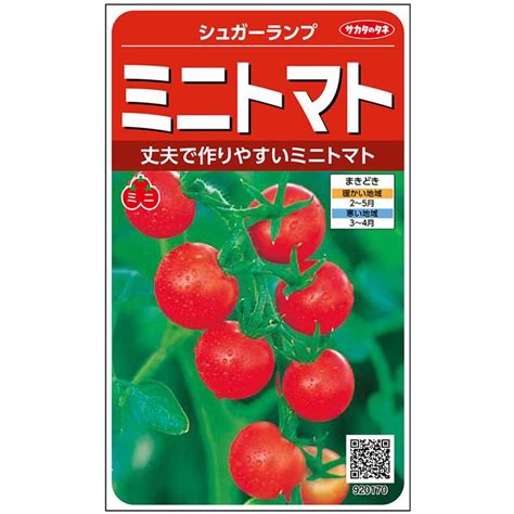 シュガーランプ トマト E 種や｜国内最大級の野菜種・花種・苗・農業資材の販売店