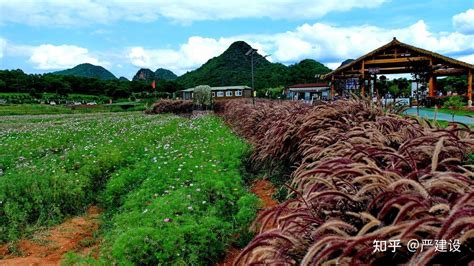 西安抗疫日记 普者黑水陌青田游记【严建设】 知乎