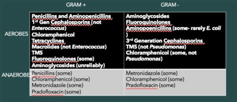 Antimicrobial Drugs Flashcards Quizlet