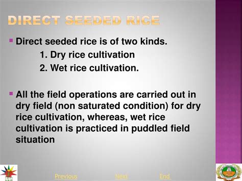 Ppt Direct Seeding Of Rice Wet And Dry Powerpoint Presentation