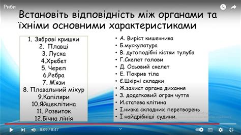 Письмово виконати завдання з фото у форматі цифра буква СРОЧНО ДАМ 20 БОЛОВ Школьные