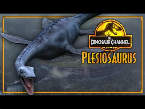 Plesiosaurus