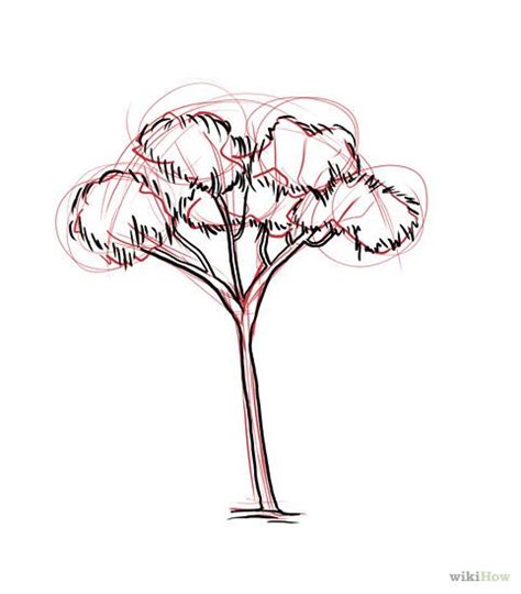 How To Draw A Gum Tree Steps With Pictures WikiHow Drawings Tree Drawing Realistic
