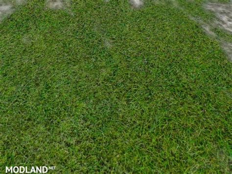 New Grass Texture V 5 0 FS 15 New Grass Texture V 5 0 FS 15