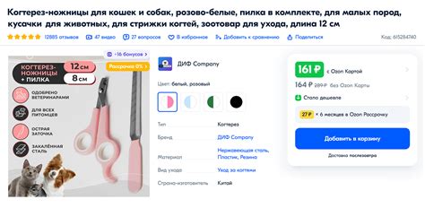 Как содержать кроликов в домашних условиях как выбрать и ухаживать