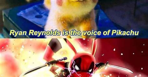 Pikapool Album On Imgur