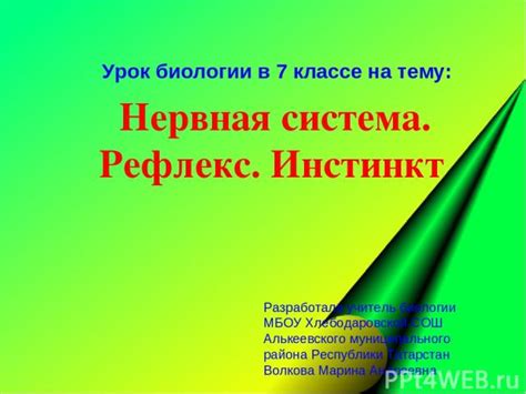 Презентация на тему Нервная система Рефлекс Инстинкт скачать